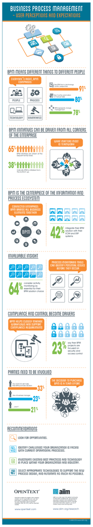[Infographic] Is BPM the Digital Transformation Enabler?